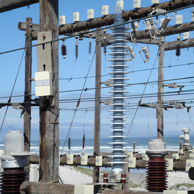 Silicone - Cage Design, Tridelta offers arresters with silicone housing ...